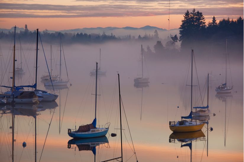 Quartermaster Harbor, WA Mural Wallpaper | Sailboats Wall Murals ...