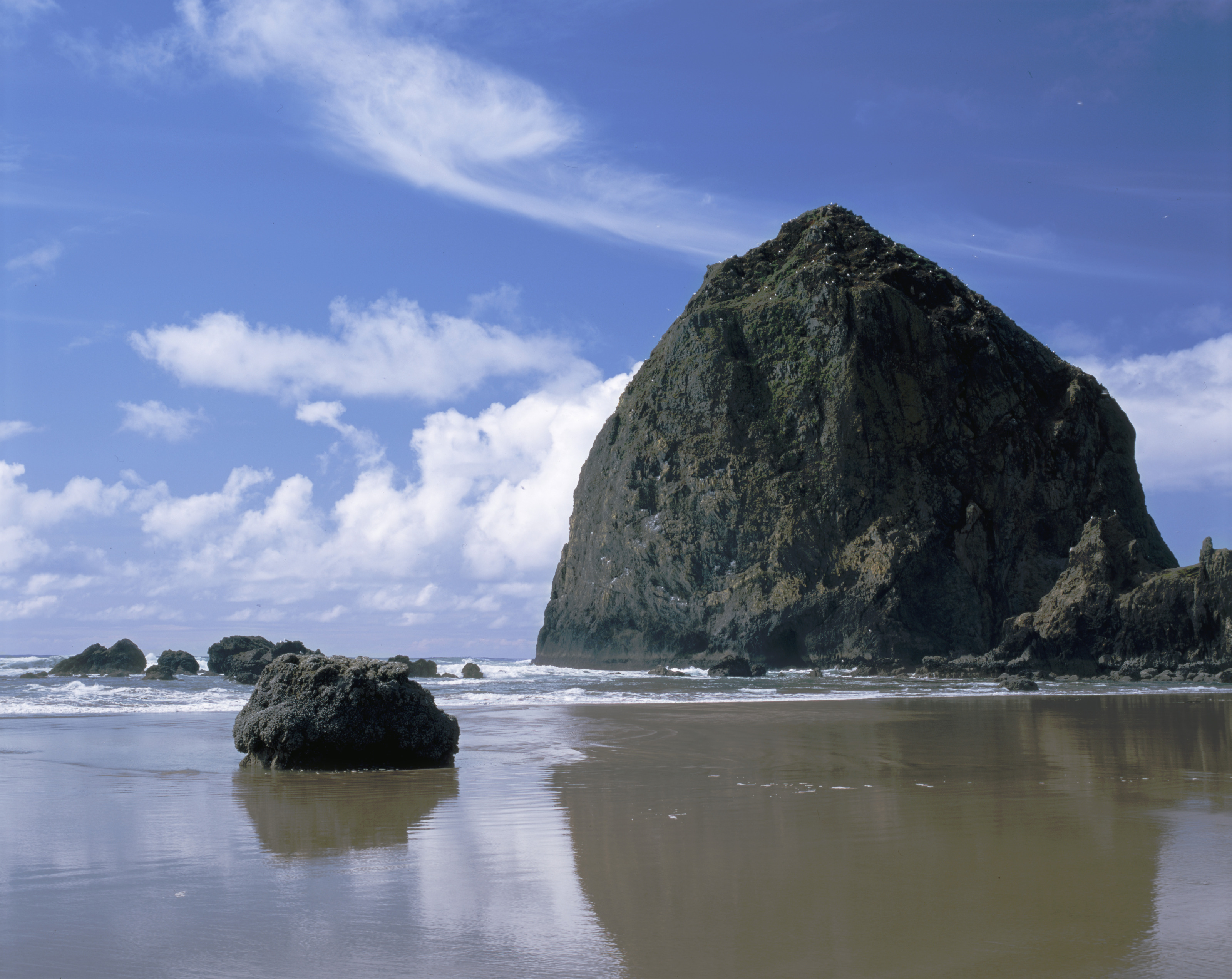 Haystack Rock With Seagulls Wall Mural - Murals Your Way