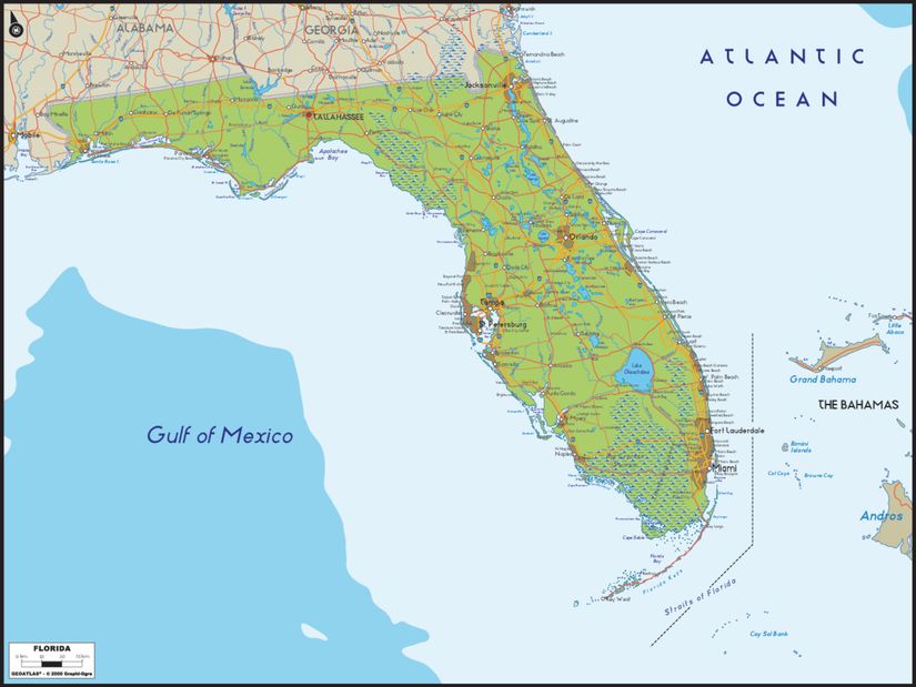 Florida Map Wall Mural - Murals Your Way