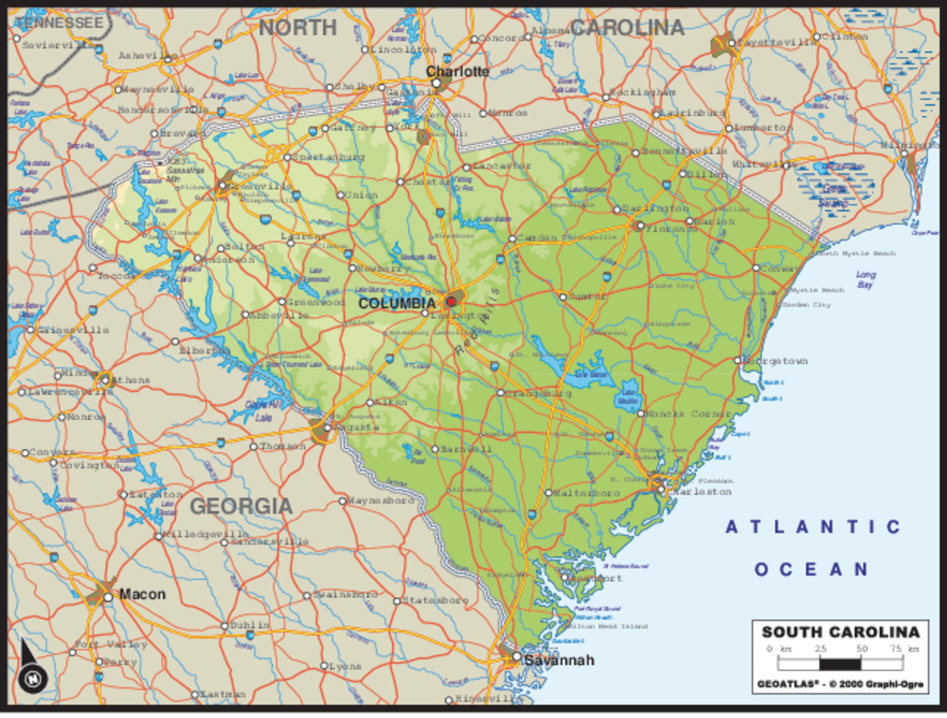 South Map Carolina Mural - Murals Your Way