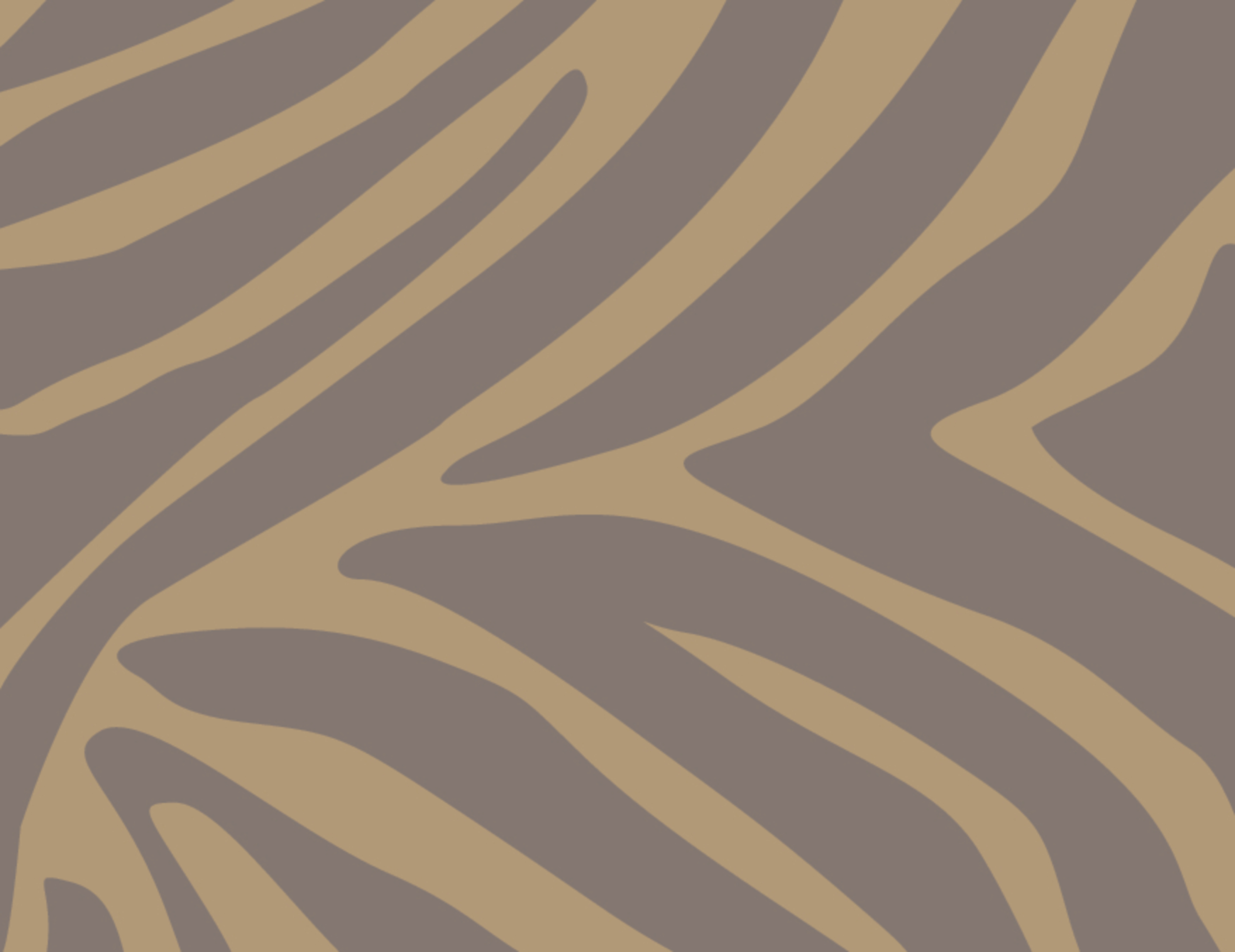 Tan Zebra Mural By Simon & Kabuki - Murals Your Way