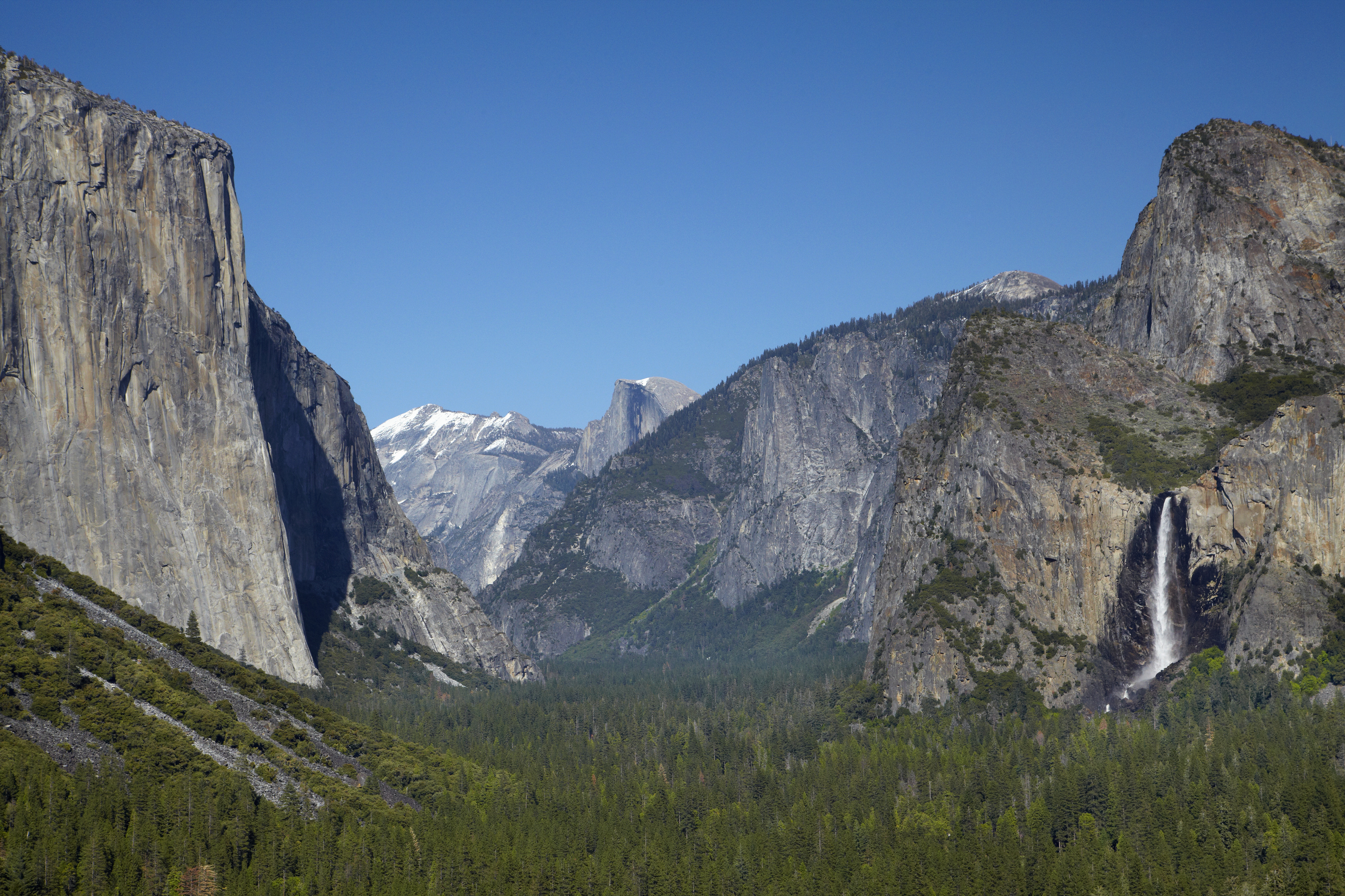 El Capitan Mural - David Wall - Murals Your Way