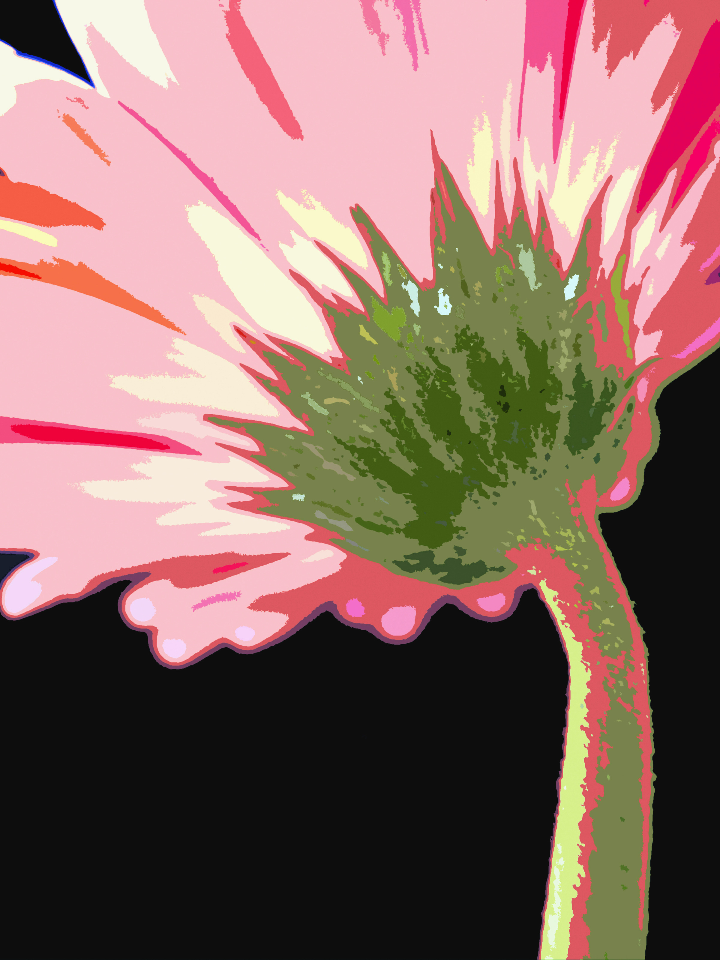 Abstract Daisy Mural Wallpaper by Alicia Bock - Murals Your Way