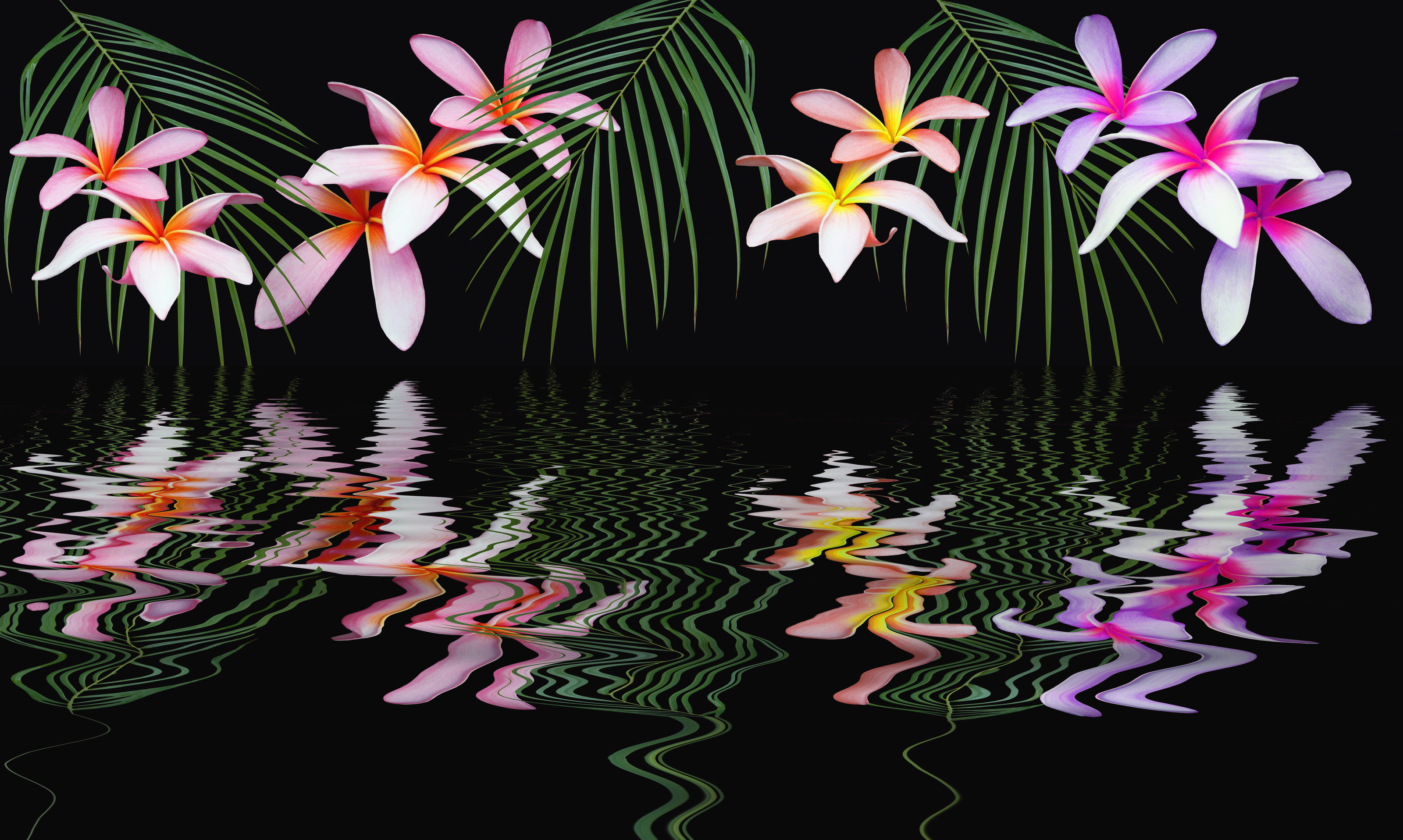 Flower Reflection Mural - Murals Your Way