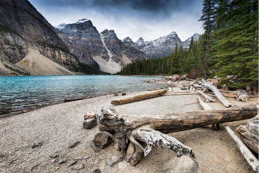 Moraine Lake Shoreline, Banff National Park Mural - Alan Crosthwaite ...