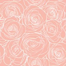 Rose Wallpaper | Rose Flower Wall Murals - Murals Your Way