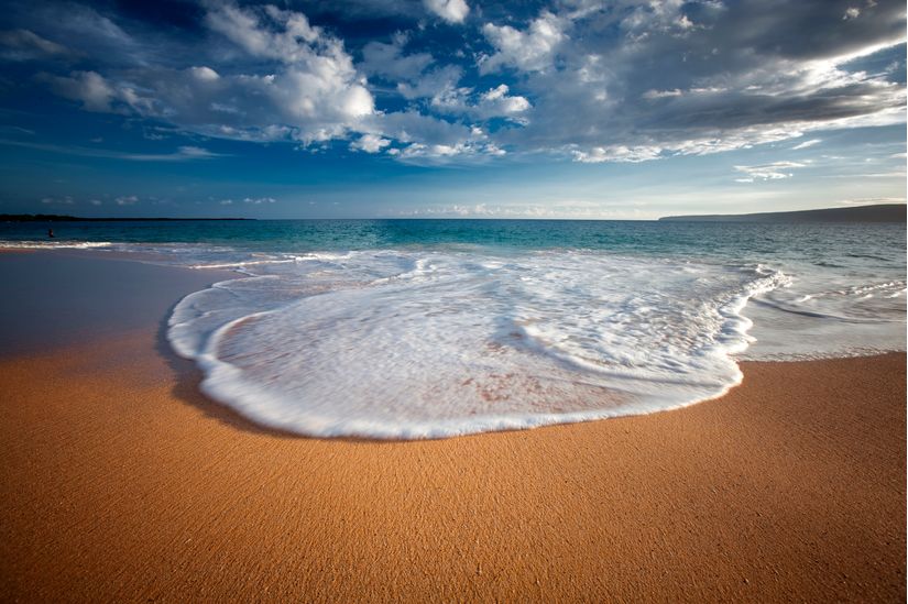 Round Wave Wall Mural - Murals Your Way