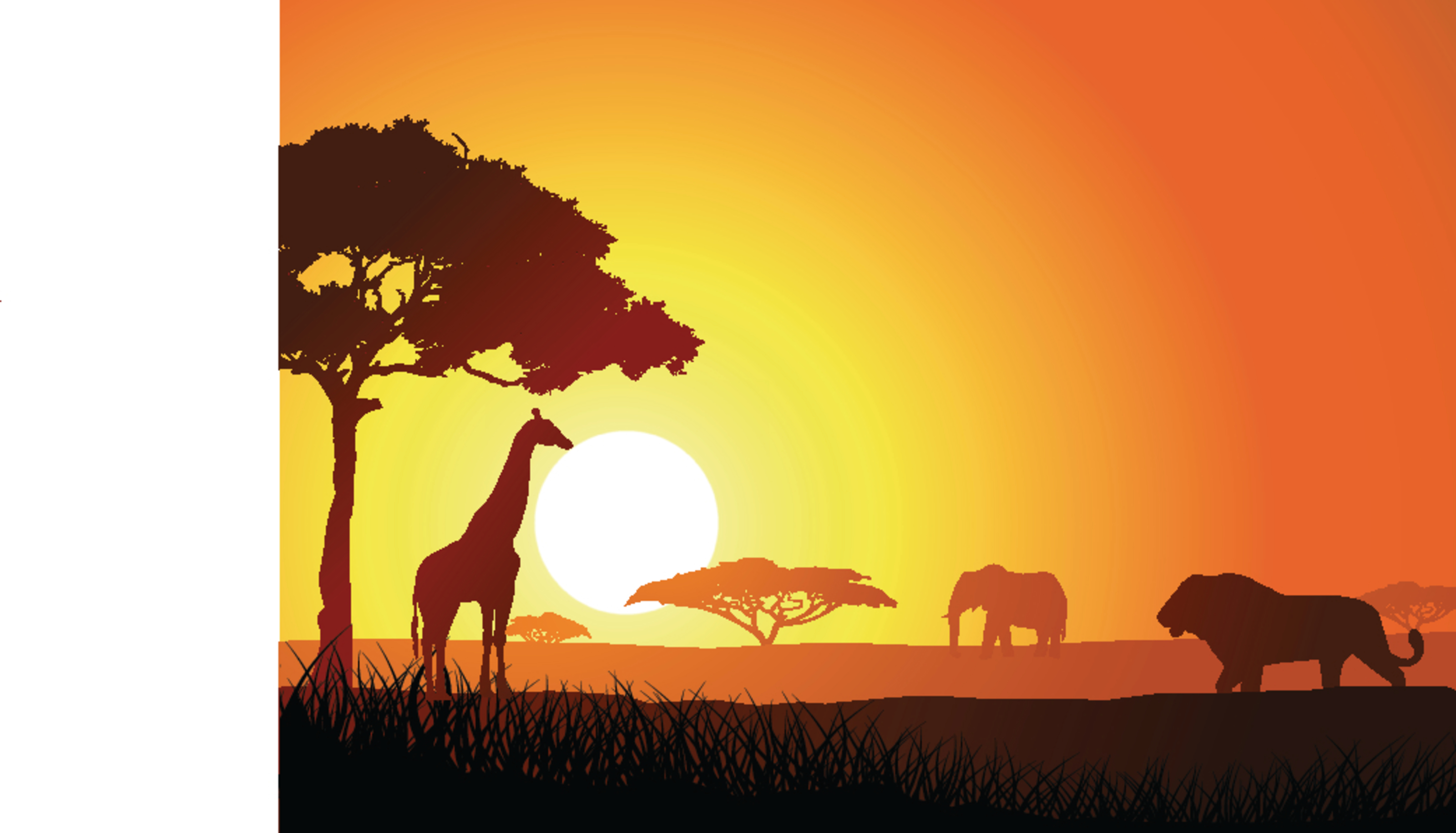 Safari Sunrise Mural - Murals Your Way