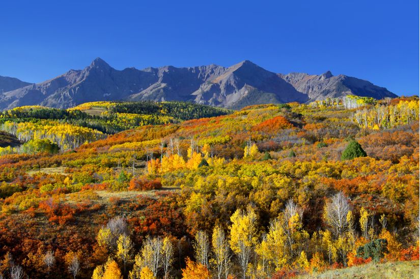 Scenic Landscape Of Dallas Divide In Colorado Mural - Murals Your Way