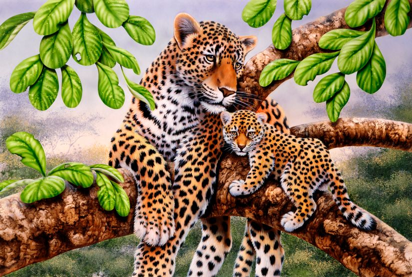 Leopard & Cub Mural By Howard Robinson - Murals Your Way