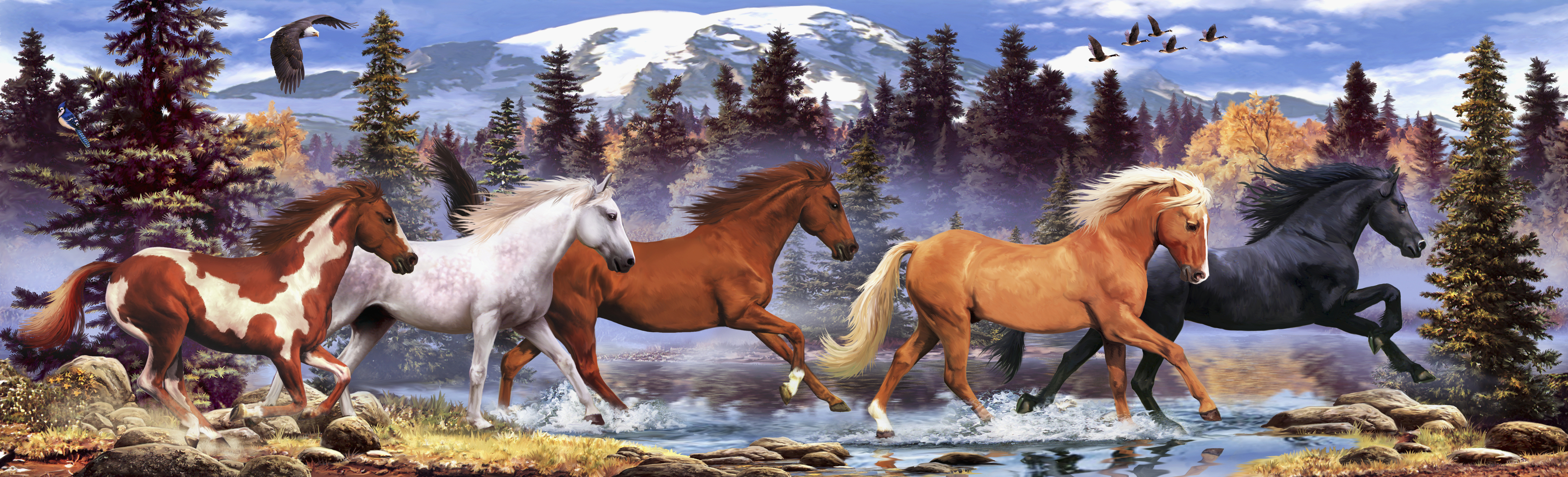 Running Free 2 Wall Mural - Murals Your Way