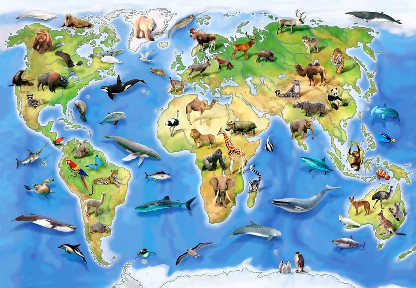 World Animal Atlas Mural - Murals Your Way