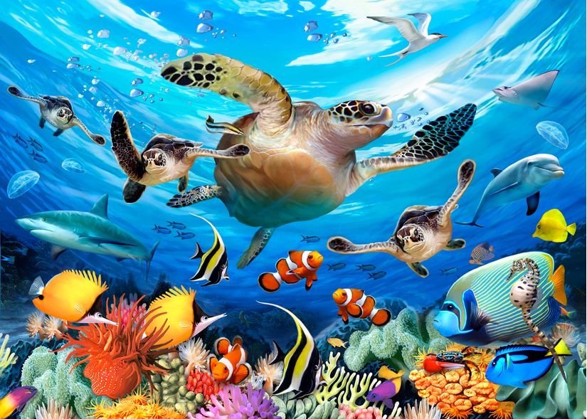 Journey of the Sea Turtles Mural - Murals Your Way