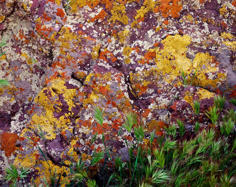 Southwest Splash Mural - Murals Your Way