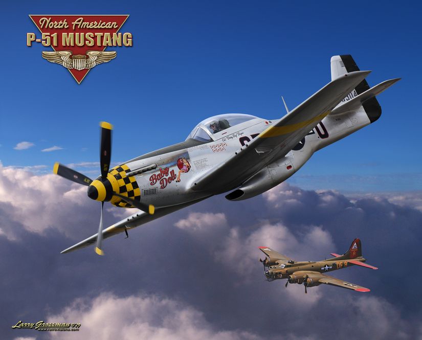 North American P-51 Mustang Mural - Murals Your Way