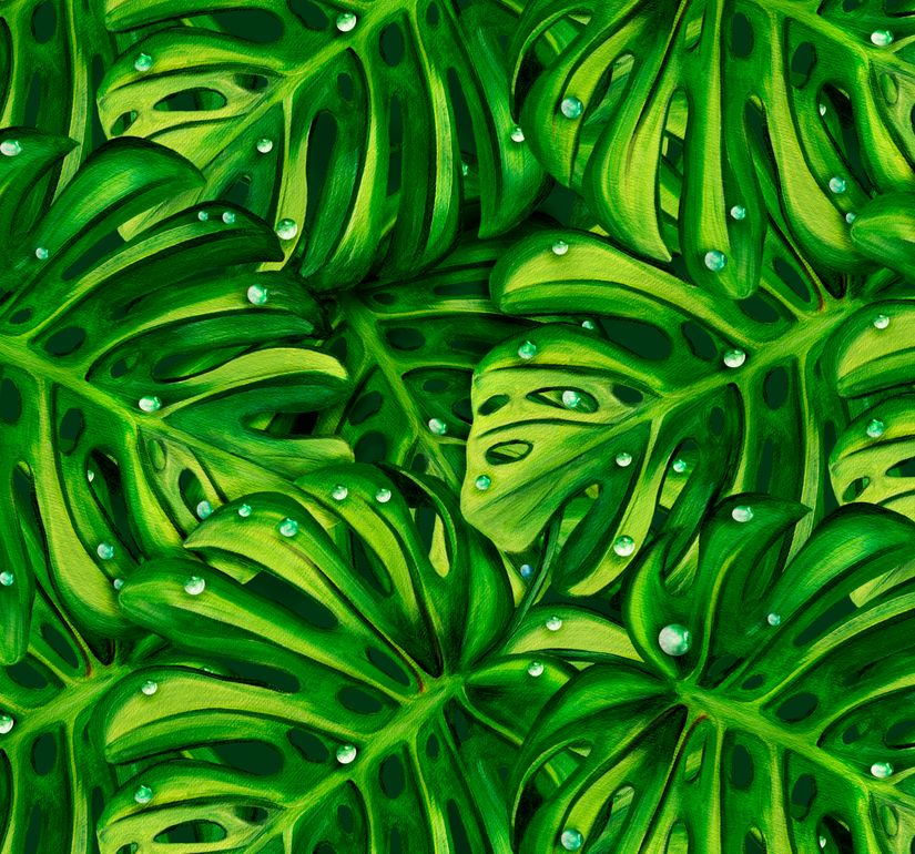 Monstera Wall Mural - Murals Your Way