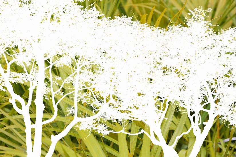 Green Trees 2 Mural - Matthew Lew - Murals Your Way