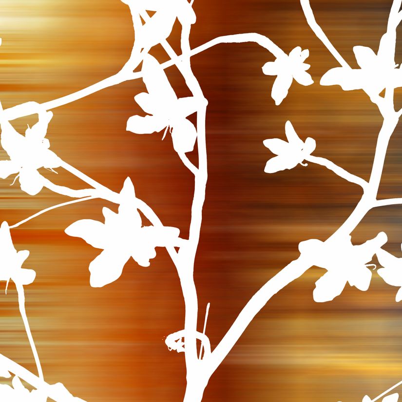 First Bloom Of The Season 1 Mural - Matthew Lew - Murals Your Way