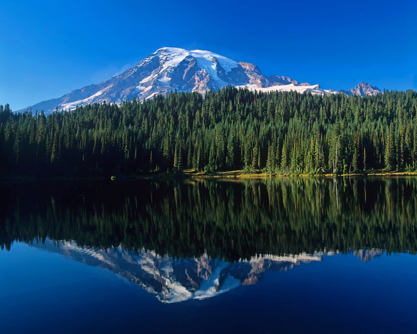 Mount Rainier Summit Wallpaper