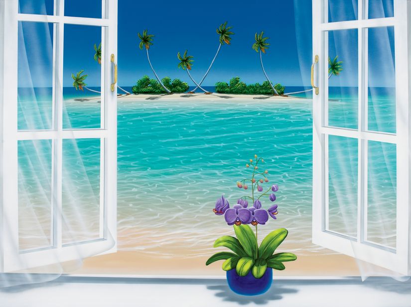 Window View Wallpaper Murals