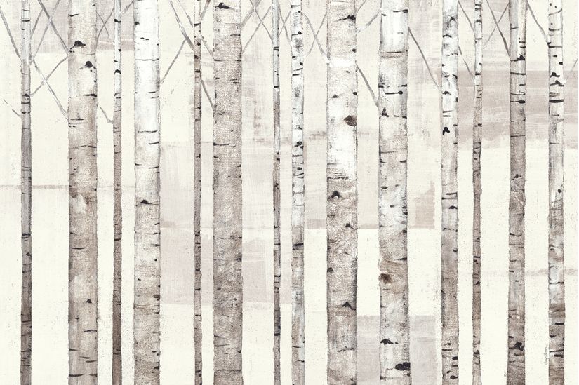 Birch Trees on White Wall Mural By Avery Tillmon - Murals Your Way