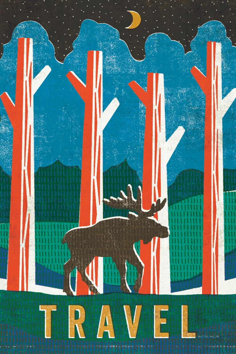 Big Sky Travel Wall Mural - Murals Your Way