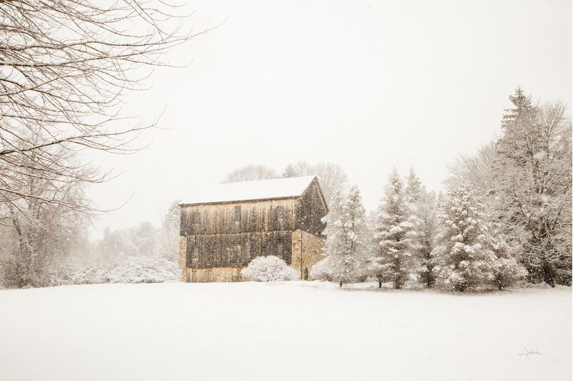 First Snow Wall Mural By Aledandra - Murals Your Way