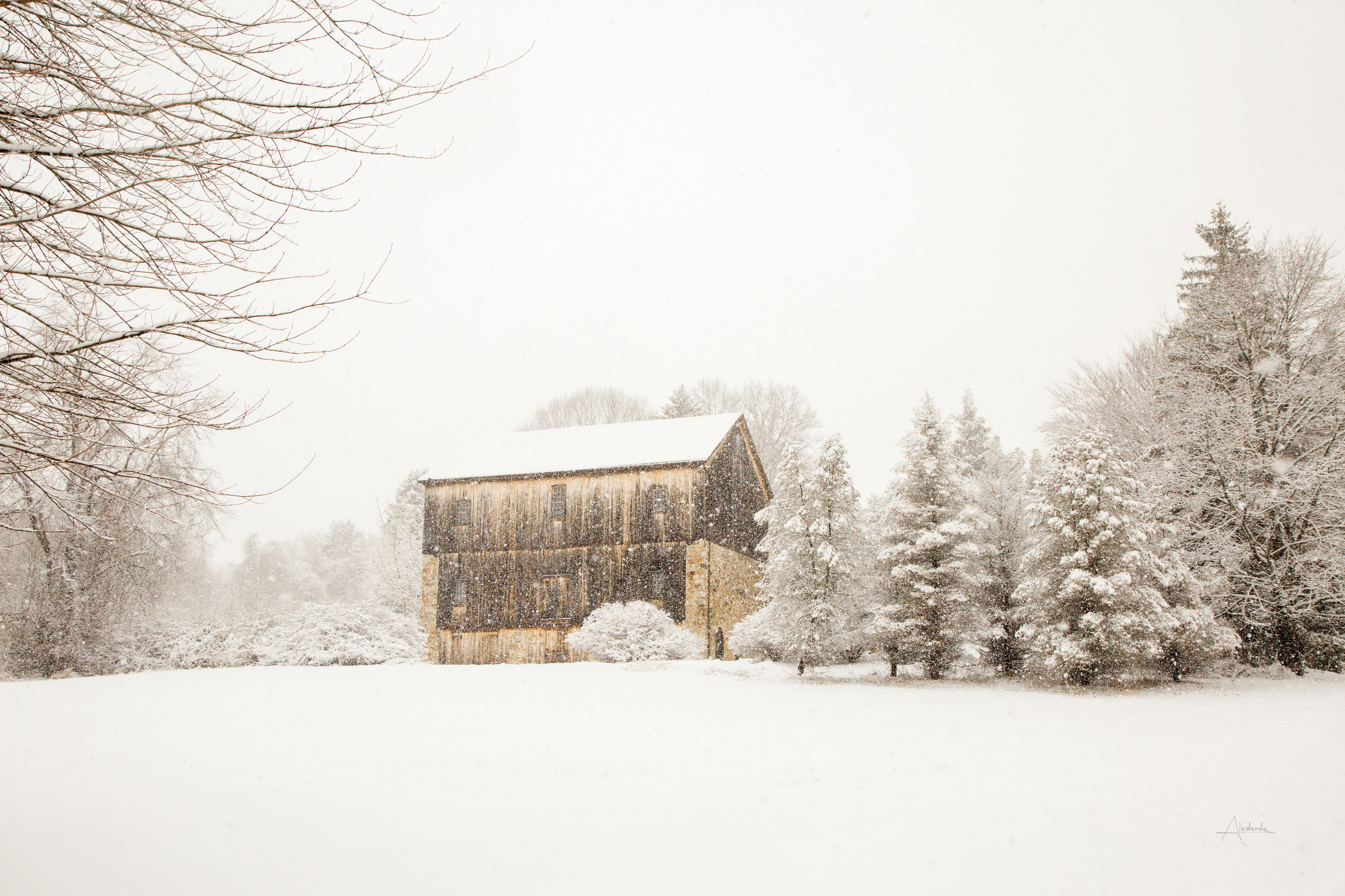 Old Barn Covered in Snow Wall Mural - Murals Your Way
