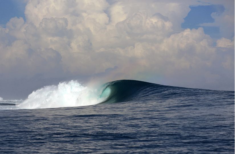 Heavy Ocean Surfing Wave Wall Mural - Murals Your Way