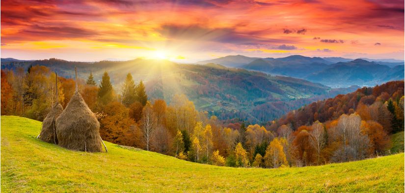 The Mountain Autumn Landscape With Colorful Forest Mural - Murals Your Way