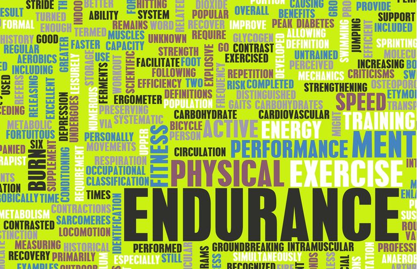 Endurance Wall Mural - Murals Your Way