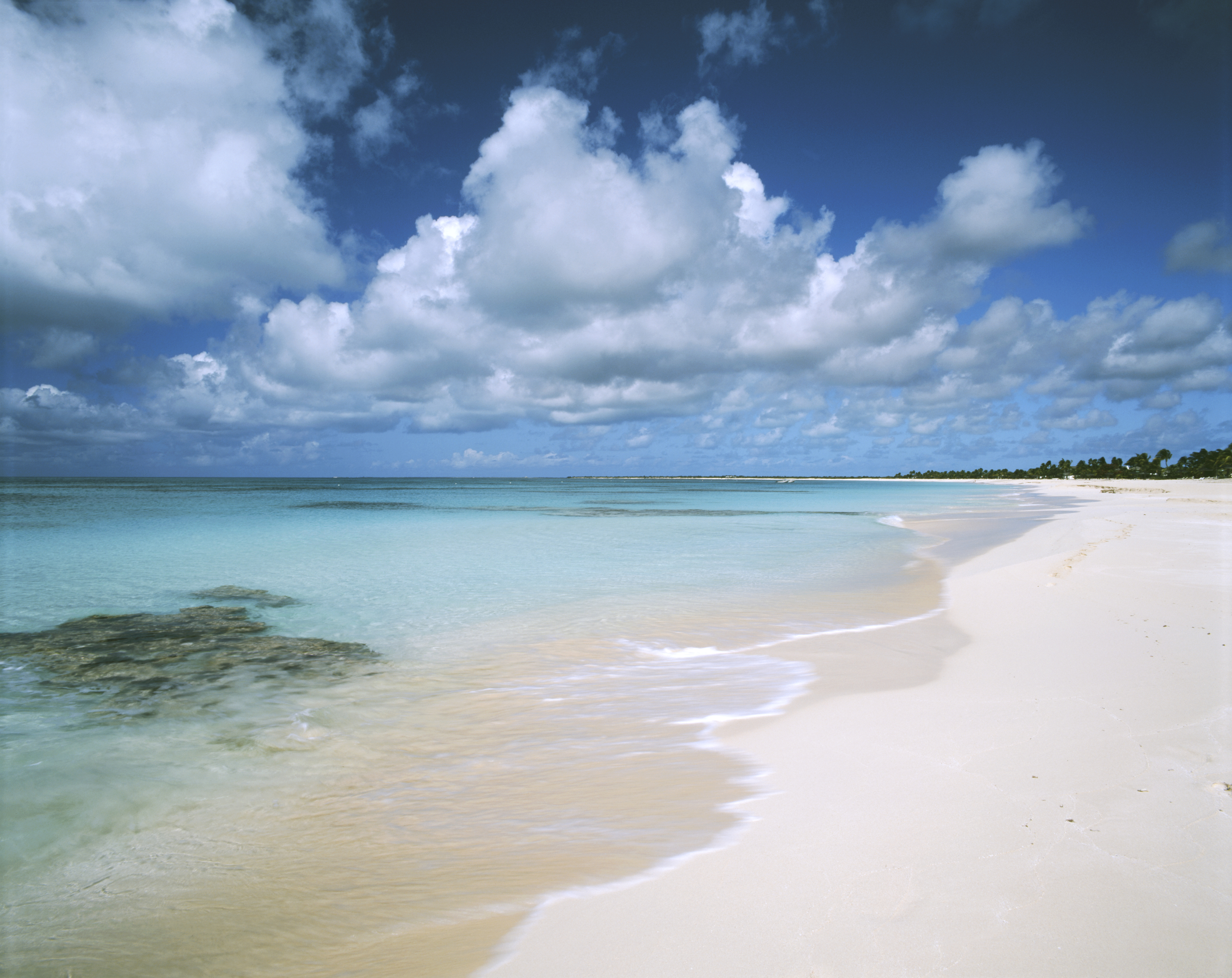 Coco Point Beach II, Barbuda Mural Wallpaper - Murals Your Way