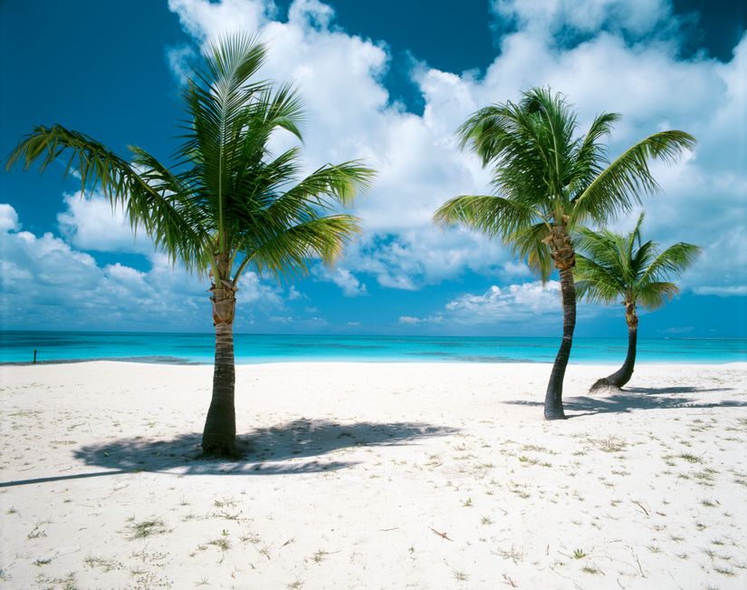 Coco Point Beach, Barbuda Mural - Terry Donnelly - Murals Your Way