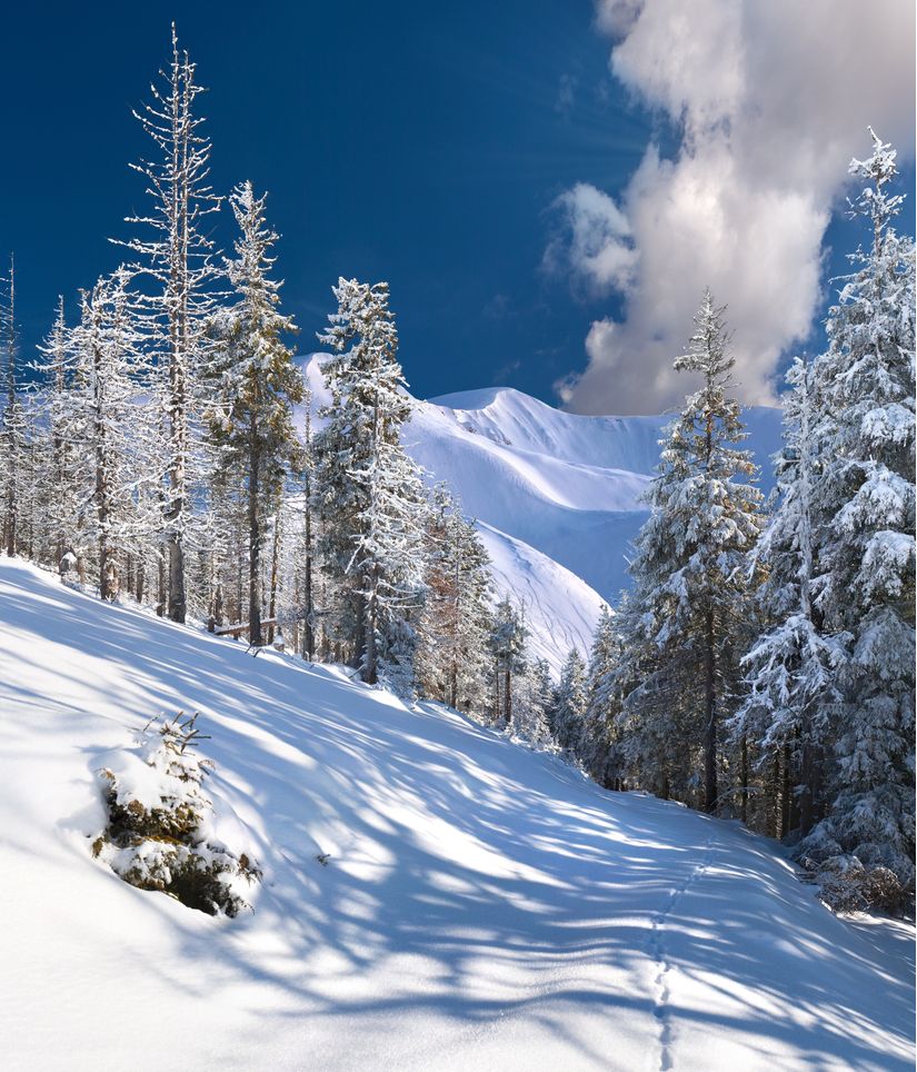 Beautiful Winter Landscape In The Mountains Mural - Murals Your Way