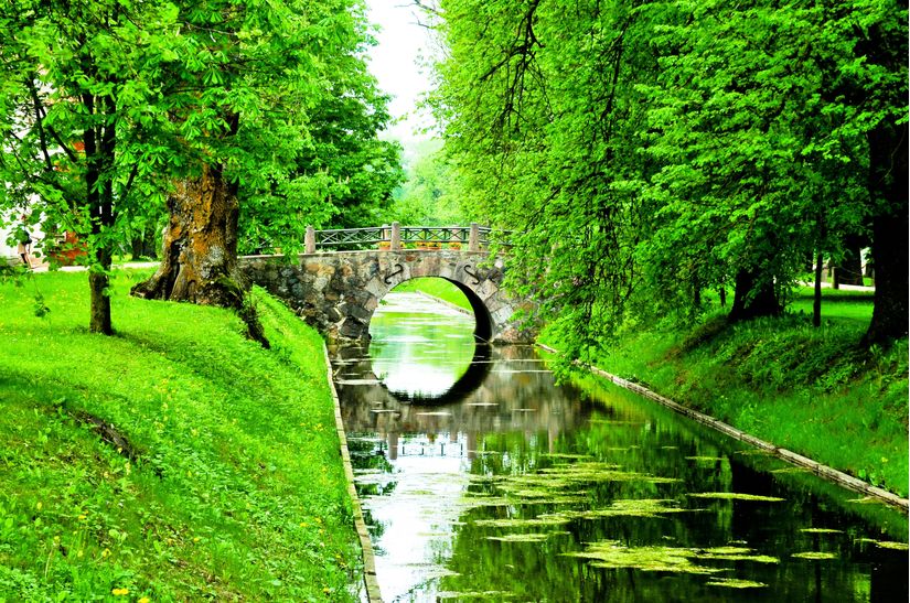 Bridge Wall Mural | Castle Moat Wallpaper Mural - Murals Your Way
