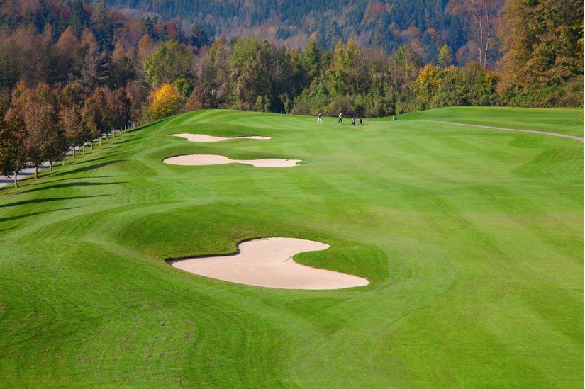 Golf Course Green Grass Mural - Murals Your Way