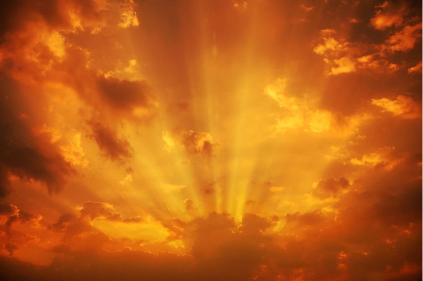 Radiant Rays Wall Mural - Murals Your Way