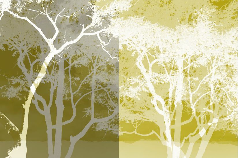 Trees Trees 1 Mural - Matthew Lew - Murals Your Way