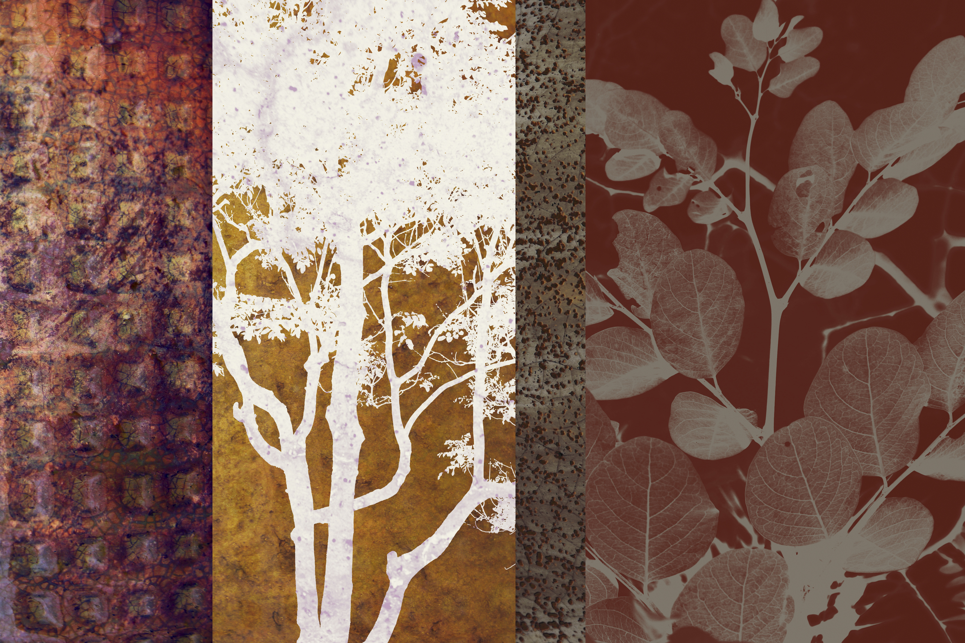 White Trees 1 Wall Mural - Murals Your Way