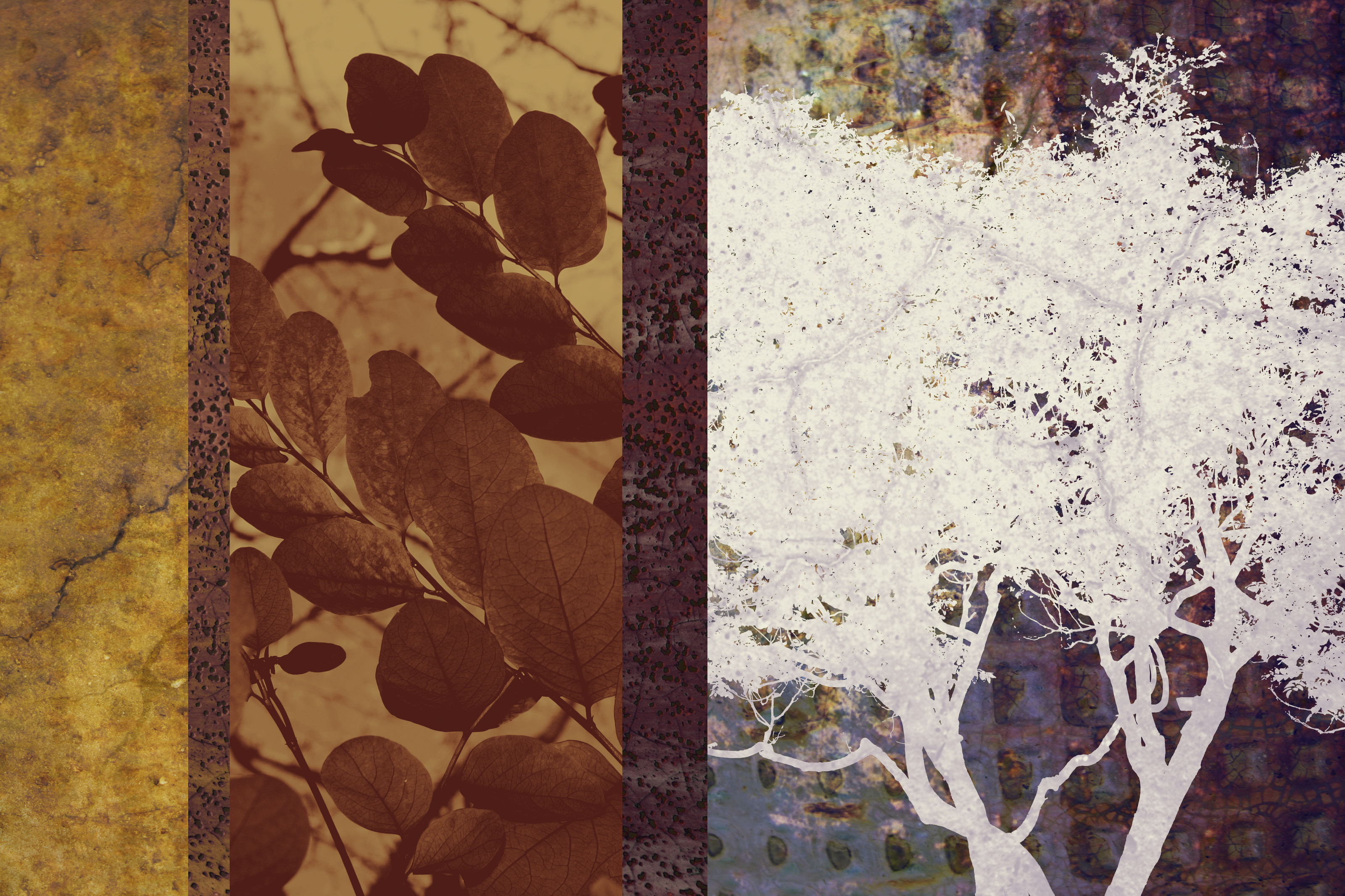 White Trees 2 Wall Mural - Murals Your Way