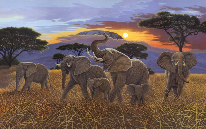 Sunset On Kilimanjaro Mural By Michael Matherly - Murals Your Way