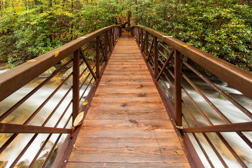 Bridge Perspective Wall Mural - Murals Your Way