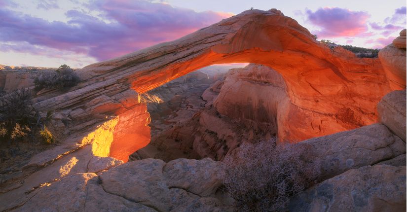 Eggshell Arch Arizona Wall Mural - Murals Your Way