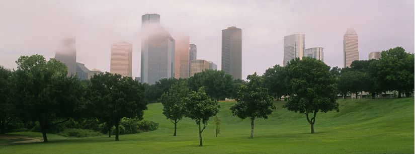 Foggy Morning In Houston Mural By Steve Mohlenkamp - Murals Your Way