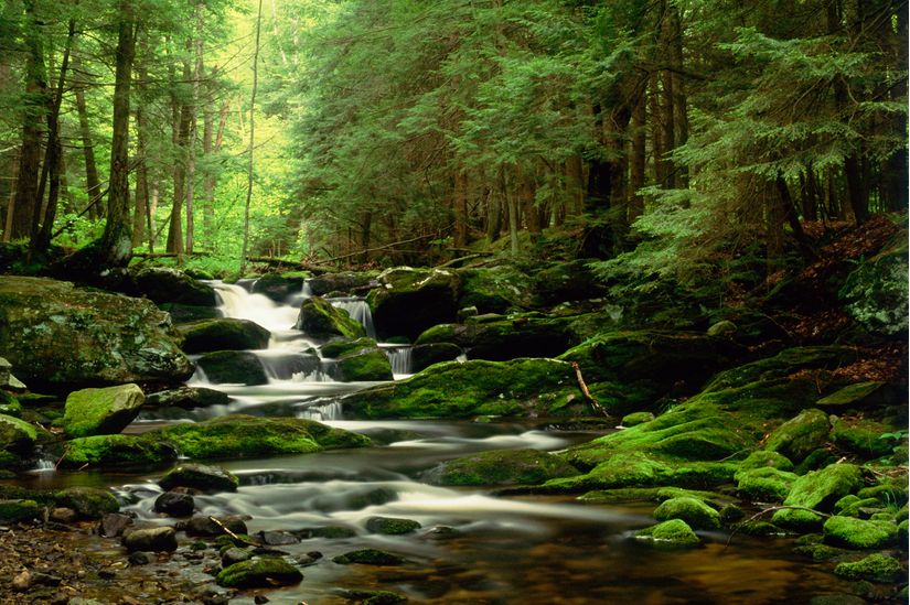 Kent Falls Mural - Murals Your Way