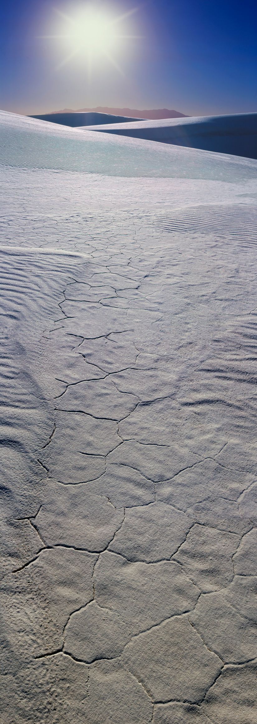 White Sands-Vertical Mural - Murals Your Way