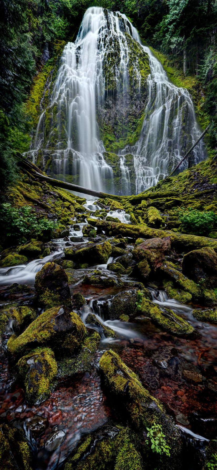 Oregon Proxy Falls Mural - Murals Your Way