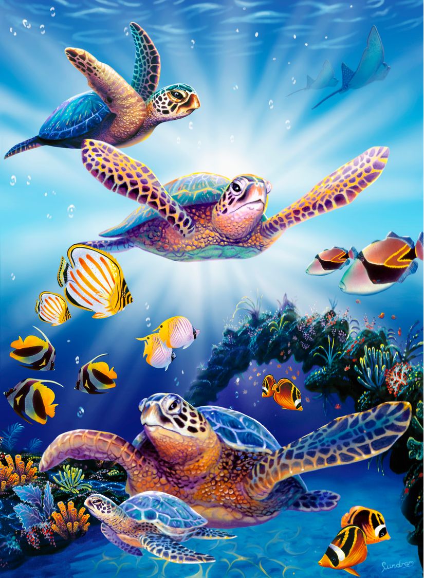 Easy Scratch Art Turtle