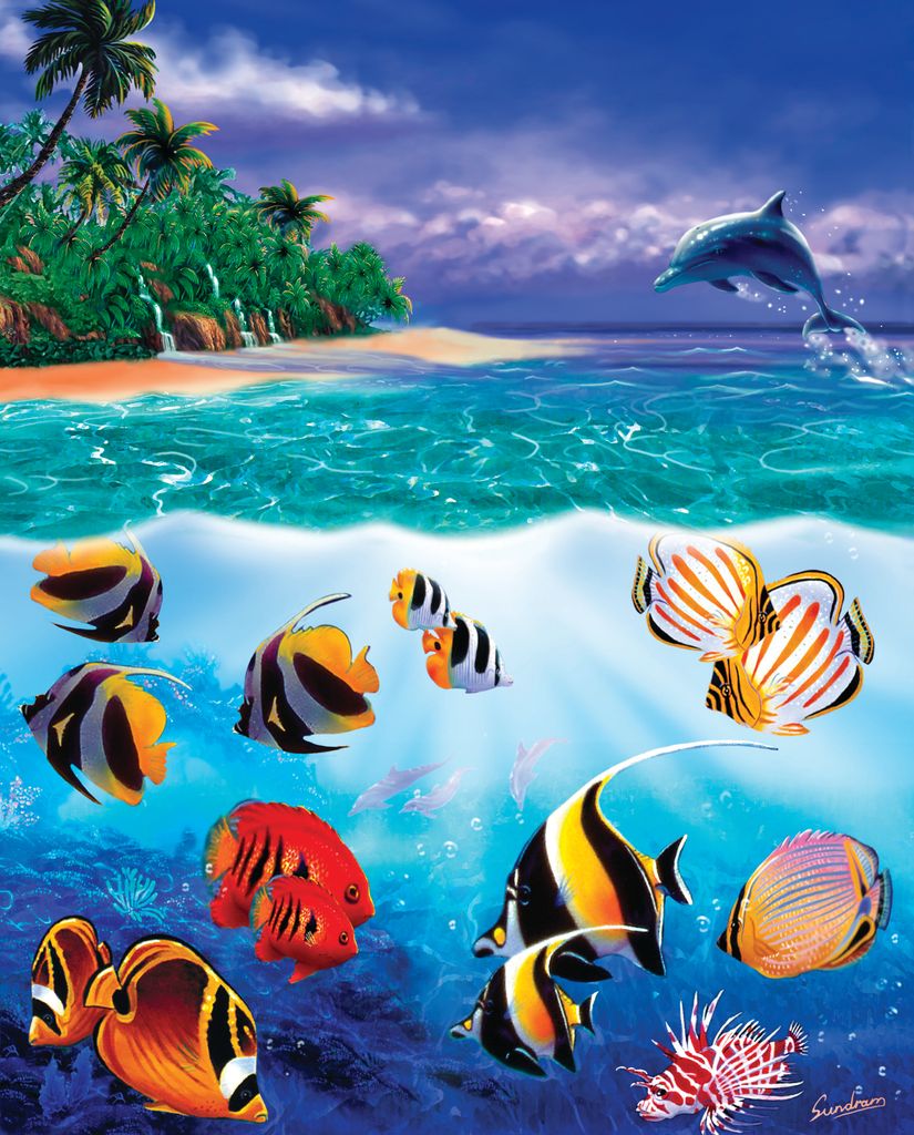 Tropical Island Wallpaper With Fish