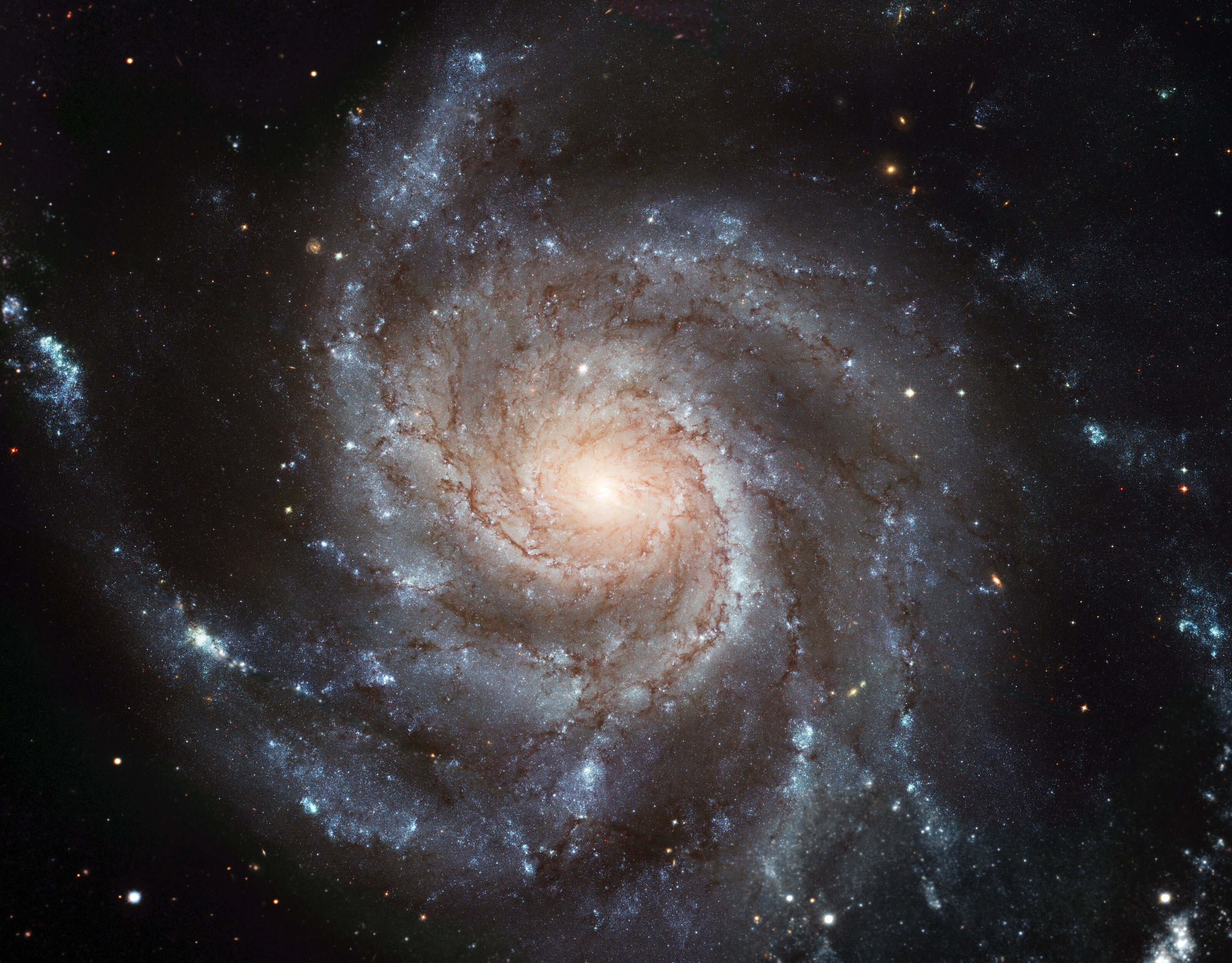 Stunning Pinwheel Galaxy Wall Mural - Murals Your Way